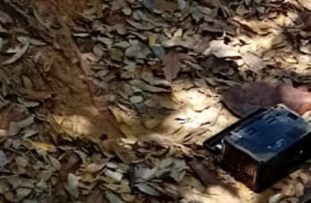 Mulher encontrada morta em Sete Lagoas estava com tiros na cabeça e no ...